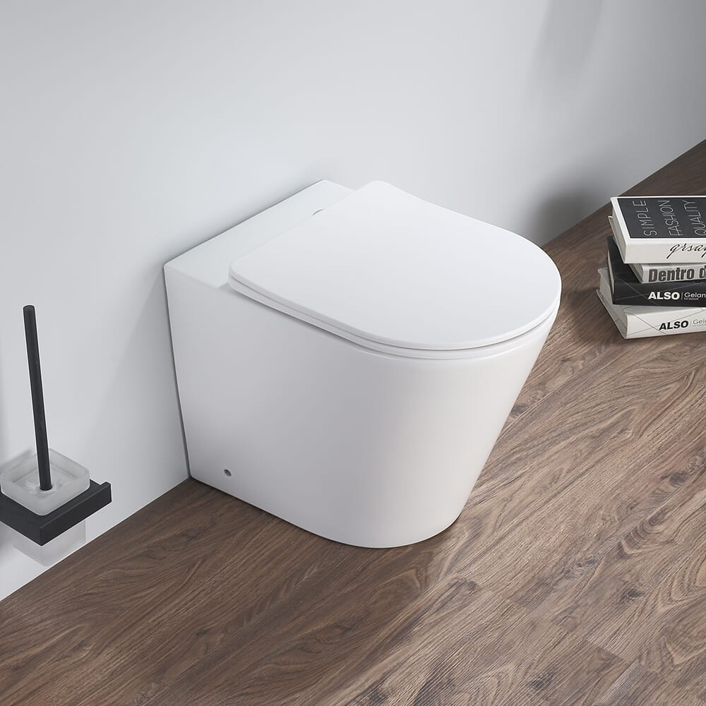 Sanitario WC Moderno a Parete con Sedile a Chiusura Ammortizzata ...